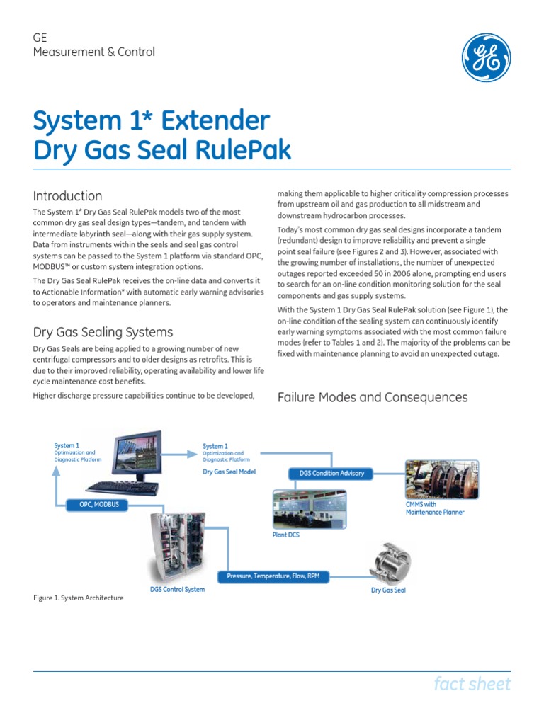 GE - System 1 Extender Dry Gas Seal Rulepak | PDF | Gases | Reliability ...
