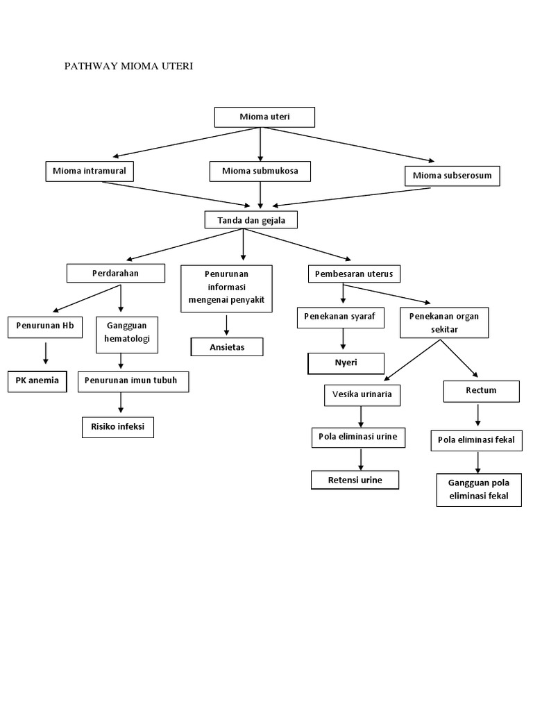 Pathway Mioma Uteri | PDF