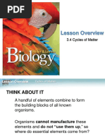 02 Biogeochem Cycles - Black and White | PDF | Nitrogen | Phosphorus