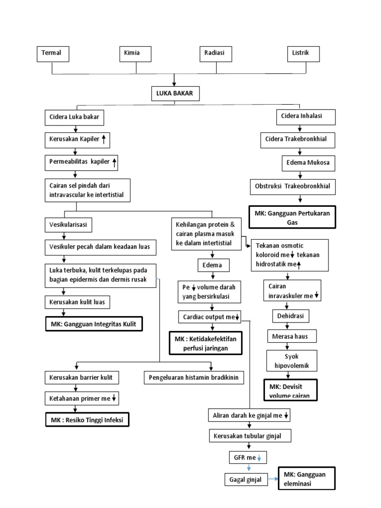 Pathway Luka Bakar | PDF