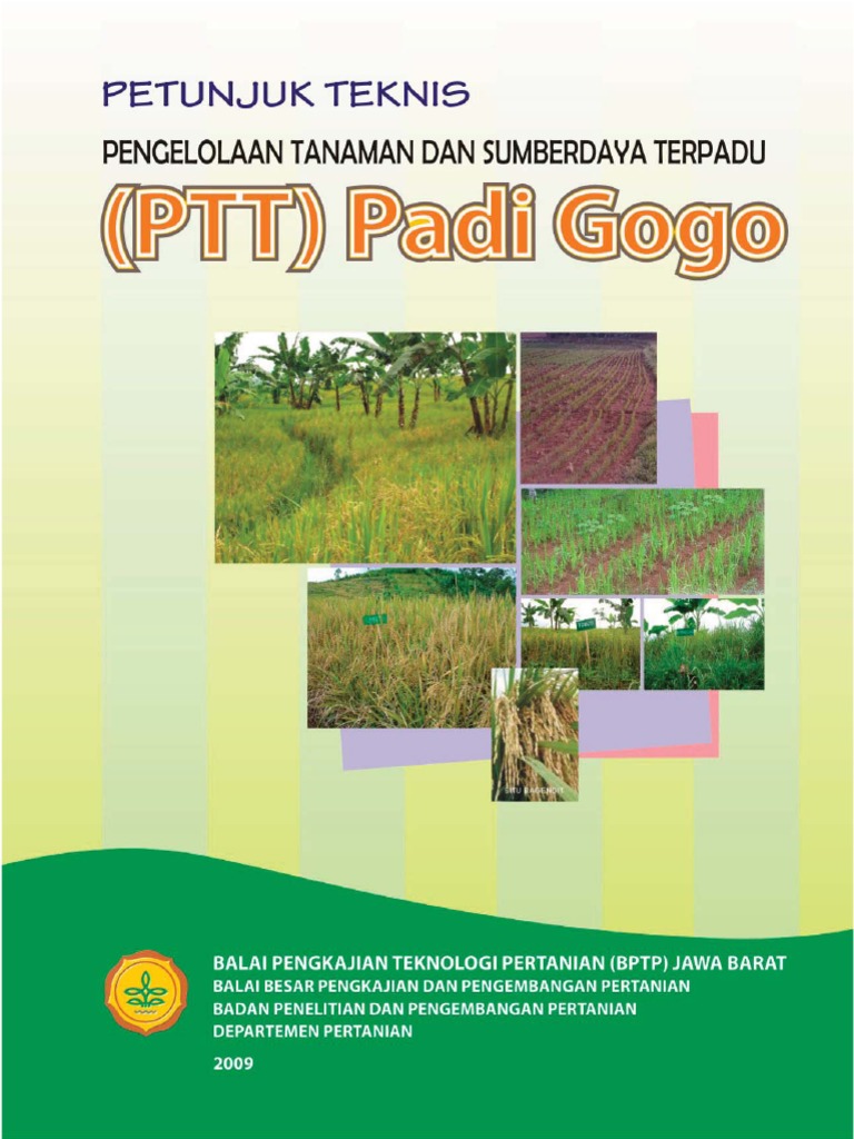 PTT Padi Gogo | PDF
