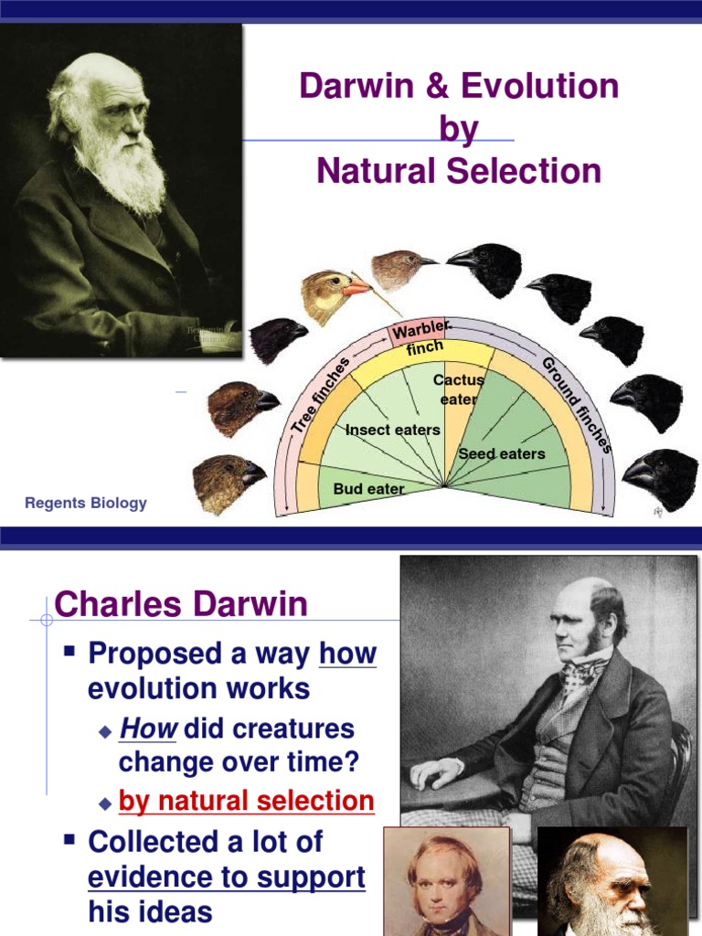 Darwin & Evolution by Natural Selection: Regents Biology | PDF ...