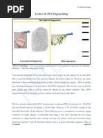 Dna Fingerprint Investigatory Project Class 12 | PDF | Dna Profiling | Dna