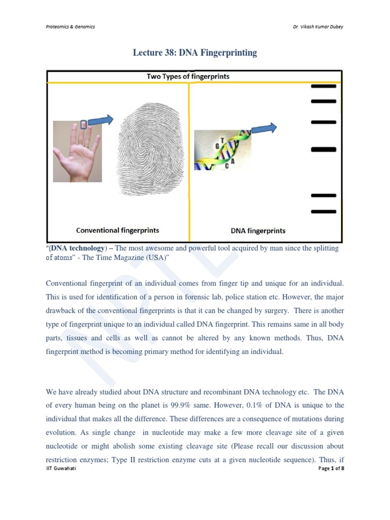 Lecture 38: DNA Fingerprinting: DNA Technology) - The Most Awesome and ...