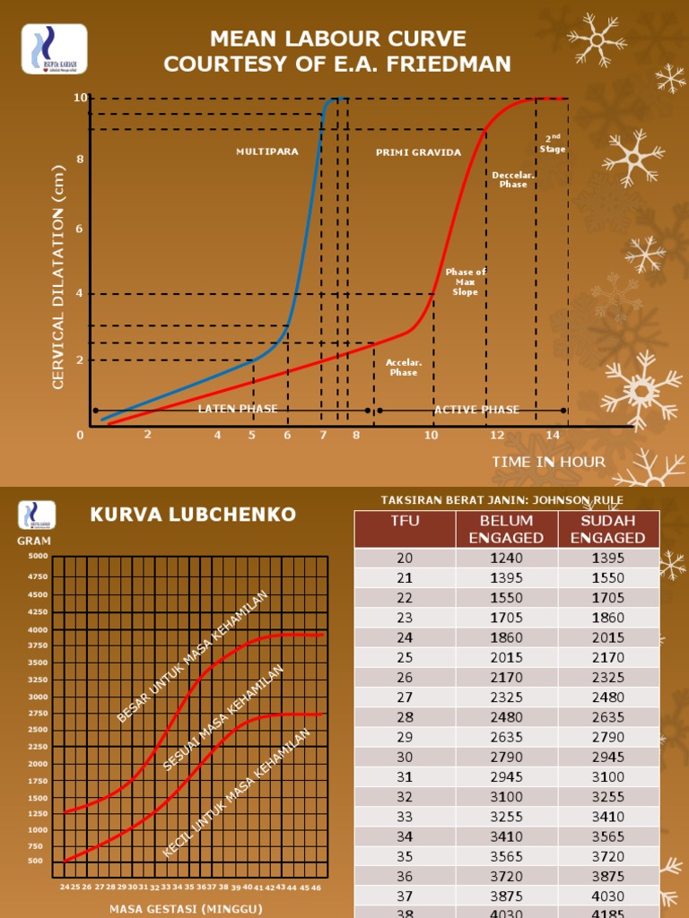 Mean Labour Curve Courtesy of E.A. Friedman: Time in Hour | PDF