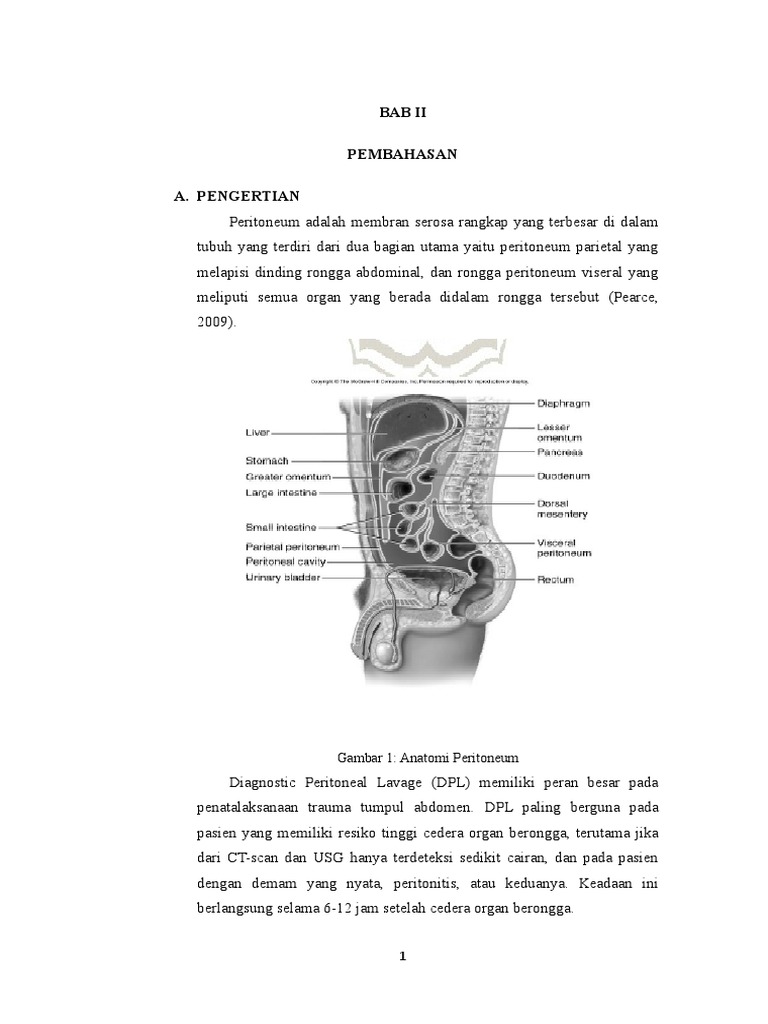 Konsep Diagnostic Peritoneal Lavage | PDF