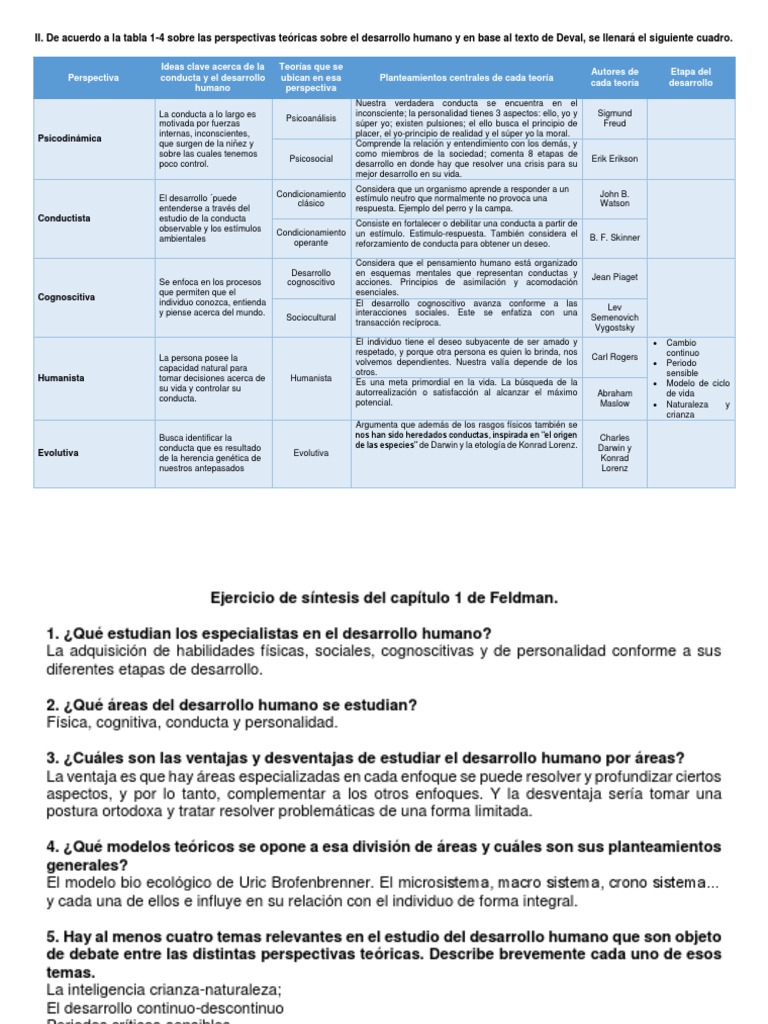 Cuadro Perspectivas Teoricas | PDF | Comportamiento | Sicología