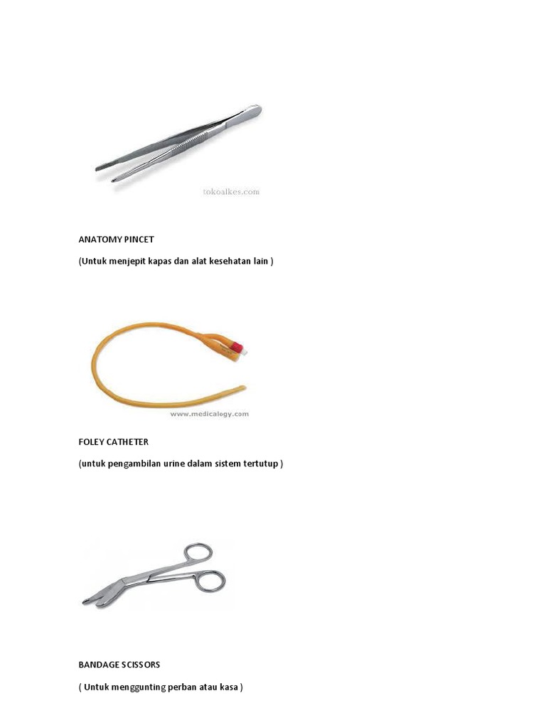 Anatomy Pincet | PDF