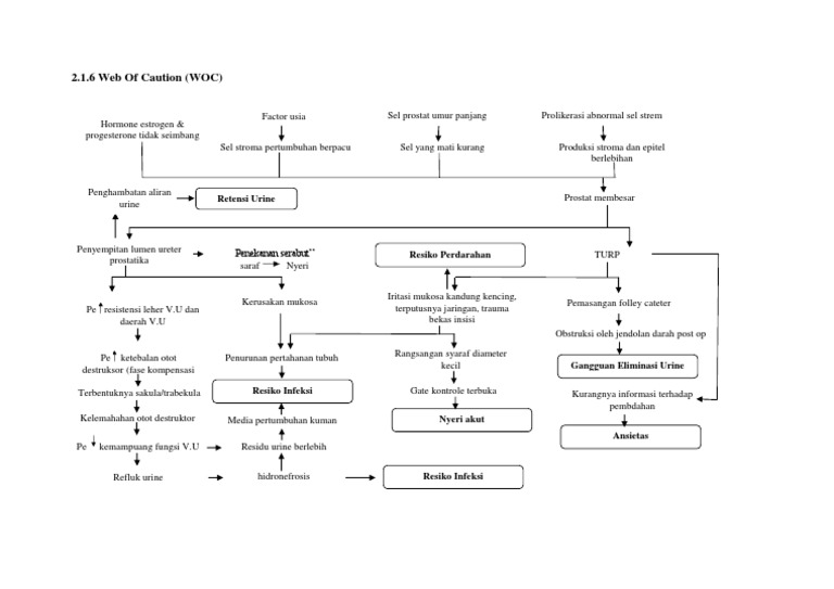 Woc BPH Nanda Nic Noc 2015 | PDF