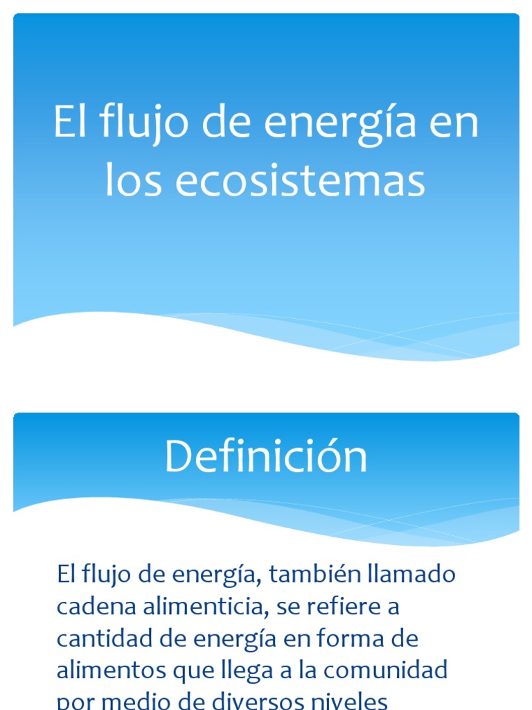 Flujo de Energía en Ecosistemas | PDF | Plantas | Dióxido de carbono
