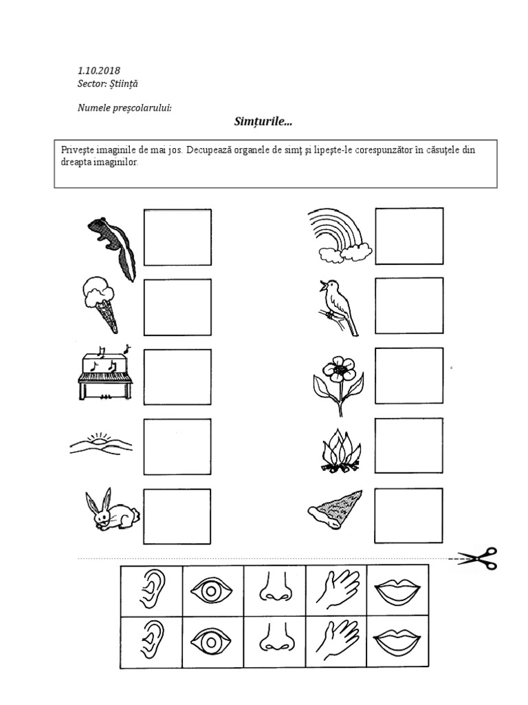 Fisa Simturi Stiinta | PDF
