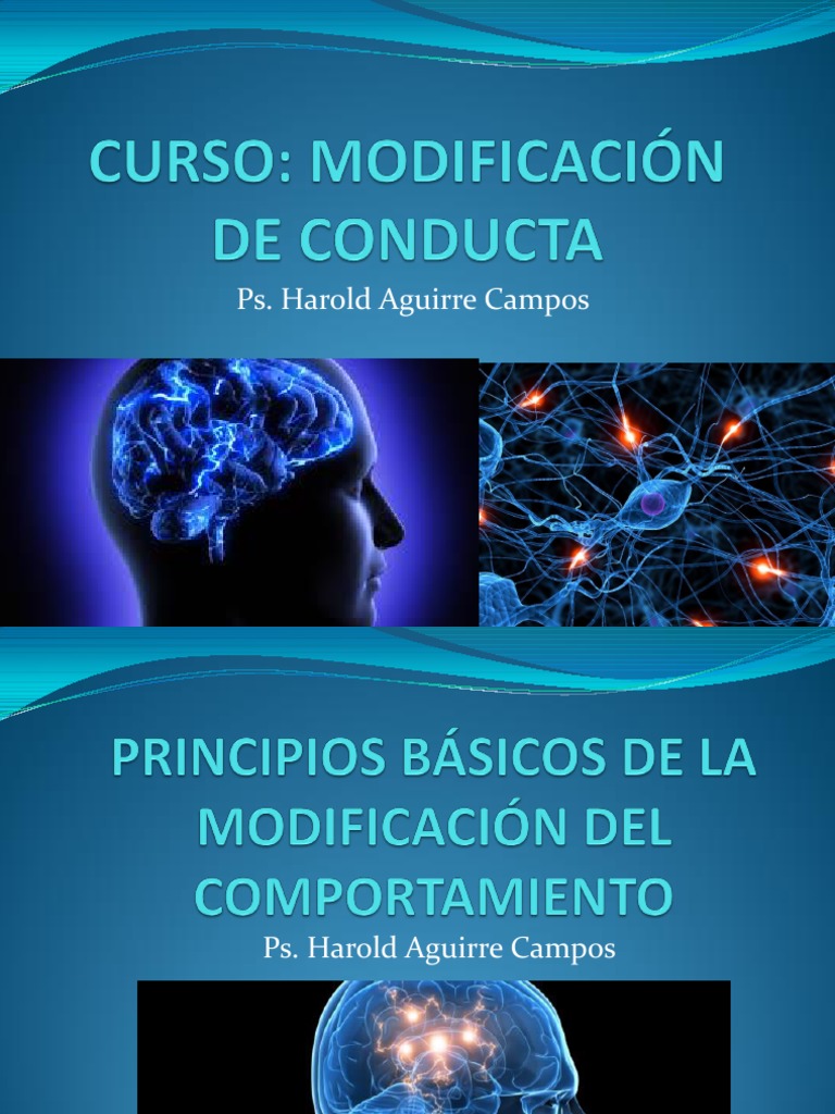 Principios Basicos de La Modificacion de Conducta | PDF | Terapia ...