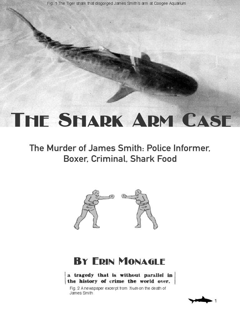 Erin Monagle Illustrated Essay, The Shark Arm Case | PDF | Crime ...