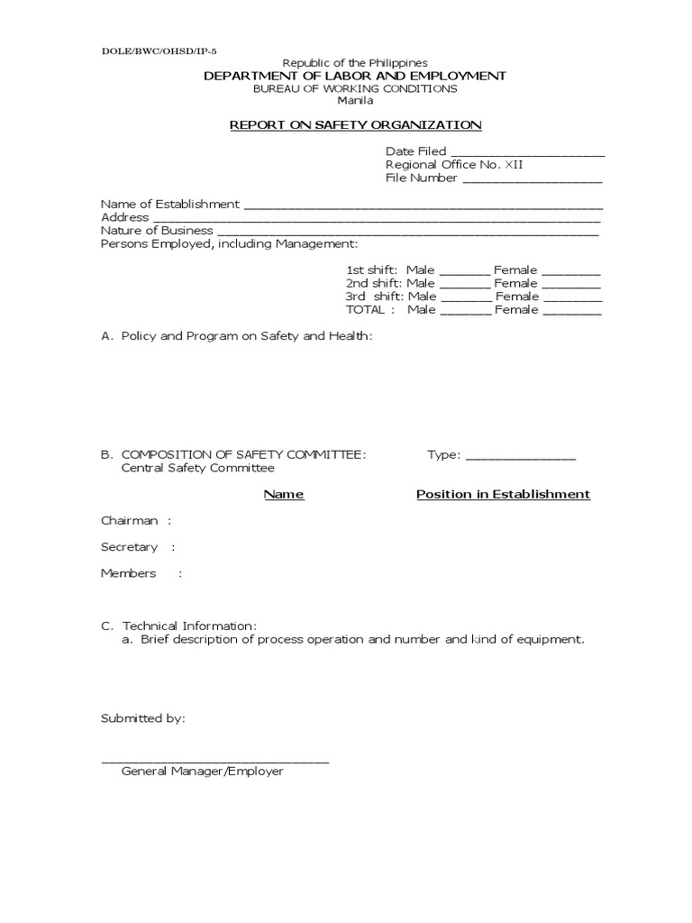 Safety Organization | PDF