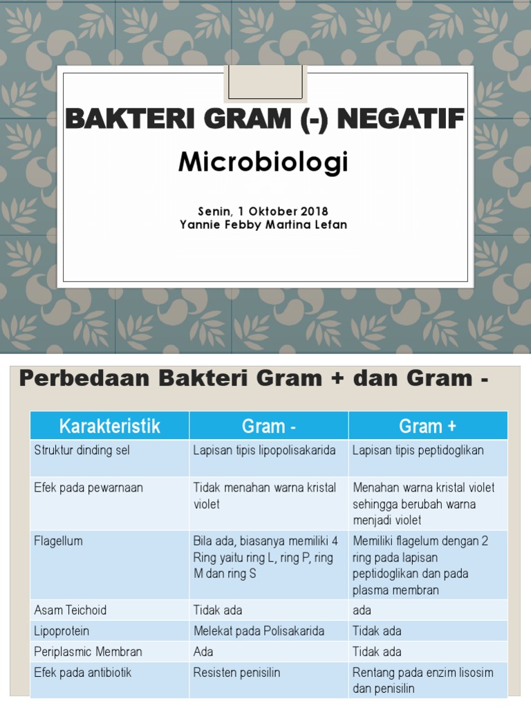 Bakteri Gram Negatif | PDF