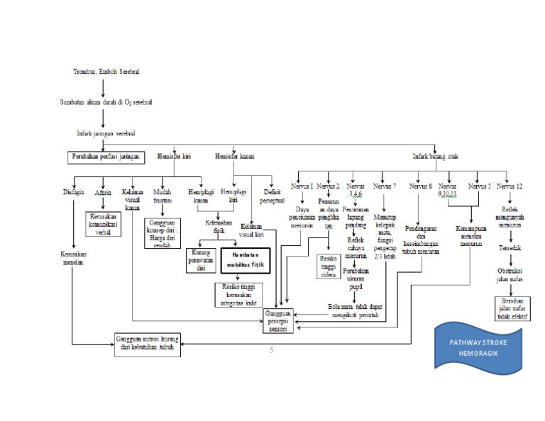 PATHWAY | PDF