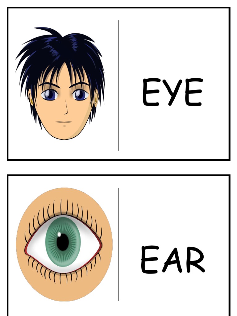 Bodyparts Domino | PDF