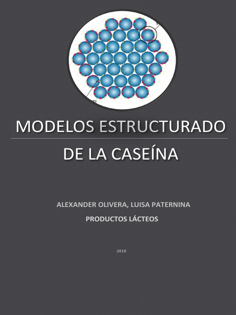 Modelos Estructurados de La Caseína | PDF | Leche | Proteínas