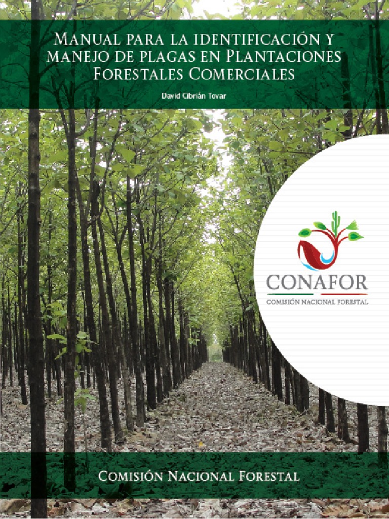 Manual de Identificación y Manejo de Plagas en Plantaciones Forestales Comerciales, Cibrián 2012 ...