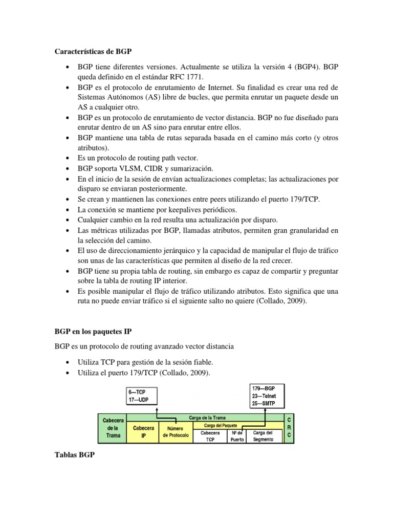 Características de BGP | PDF | Enrutador (Computación) | Protocolos de internet