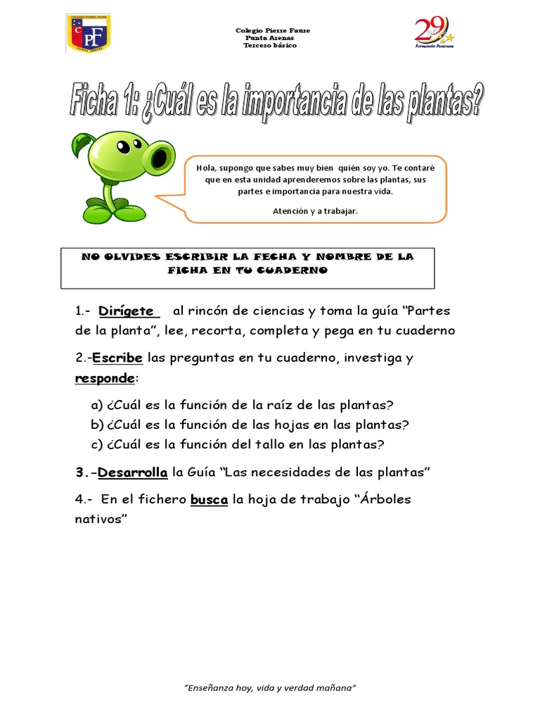 Fichas y Guias Unidad de Las Plantas | PDF | Plantas | Chile
