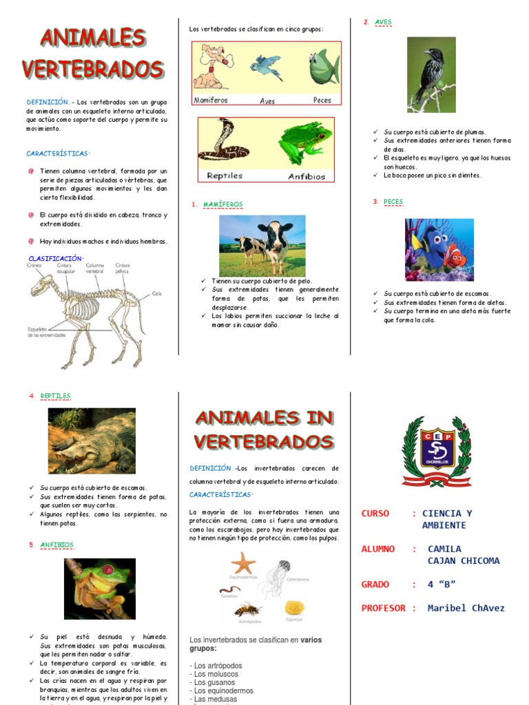 Dip Tico | PDF | Reptil | Anfibio