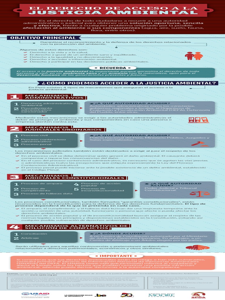 Infografia Justicia Ambiental Pdf Derecho Constitucional Virtud