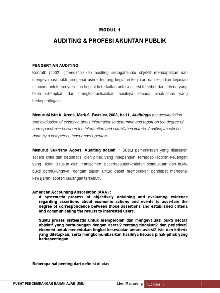Auditing Dan Profesi Akuntan Publik | PDF | Pengelolaan Keuangan & Uang