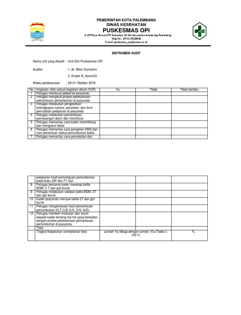 Instrumen Audit Gizi NS | PDF