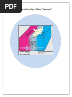 Sistema Riedel | PDF | Falla (geología) | Geología estructural