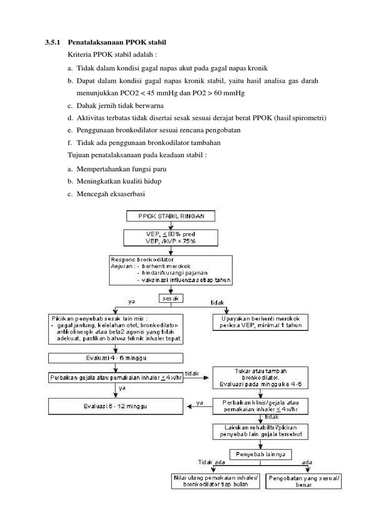 Penatalaksanaan PPOK Eksaserbasi Akut | PDF