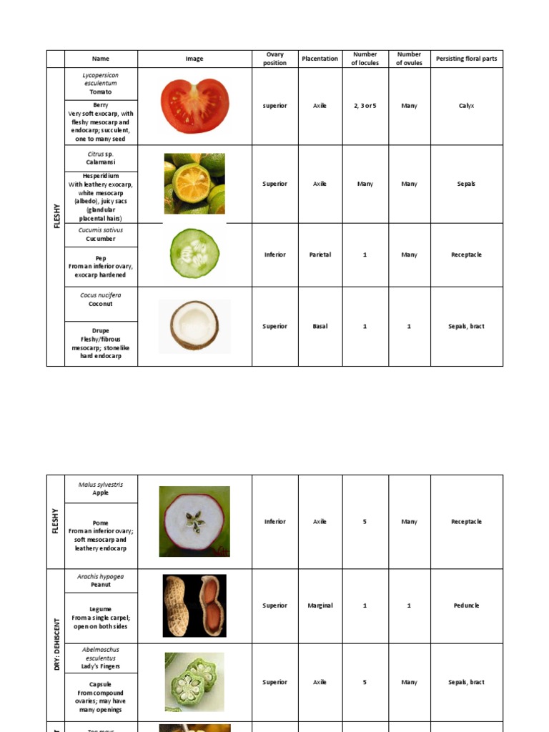 B | PDF | Fruit | Horticulture And Gardening