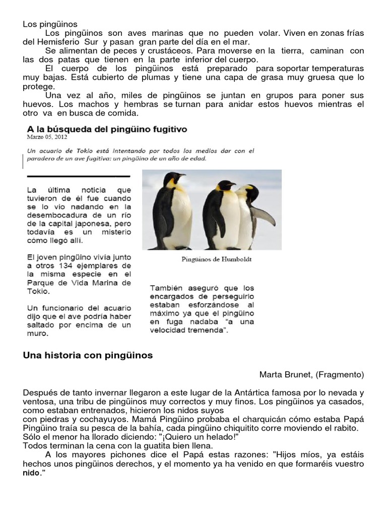 Los Pingüinos - Lectura Básica | PDF