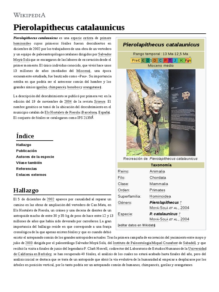 Pierolapithecus Catalaunicus | PDF | Taxonomía de primates | Catarrhini