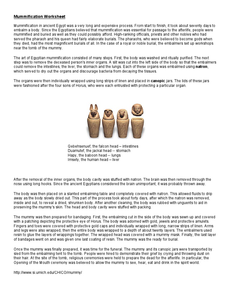 Mummification Worksheet PDF | PDF | Mummy | Middle Eastern Mythology