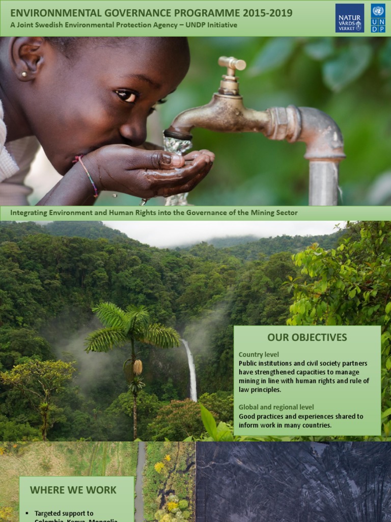 Environmental Governance Programme | PDF | Governance | Justice