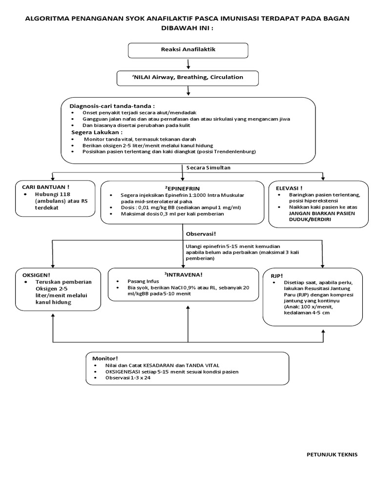 Algoritma Penanganan Syok Anafilaktif Pasca Imunisasi Terdapat Pada ...