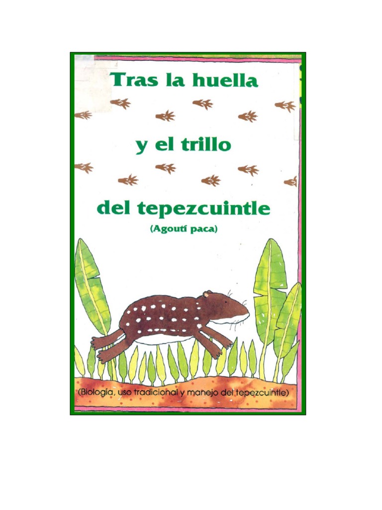 El Tepezcuintle | PDF | Menudencias | Caza