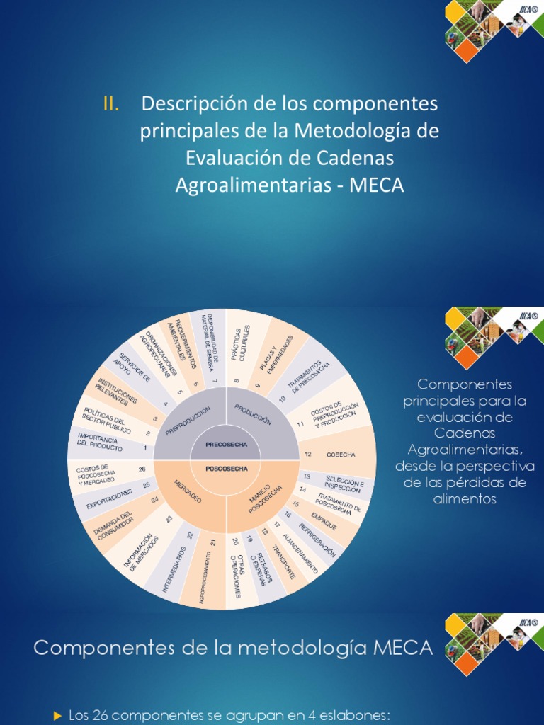 MECA | PDF