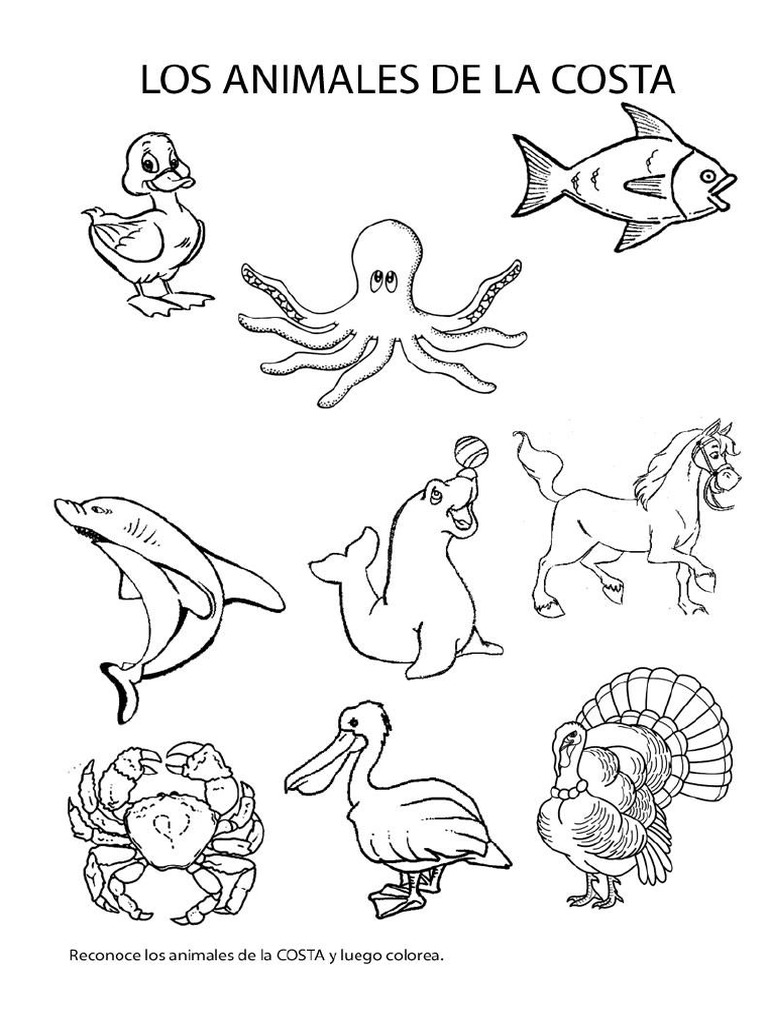 Animales de La Costa | PDF