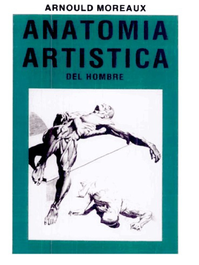 Anatomía Artística Del Hombre | PDF