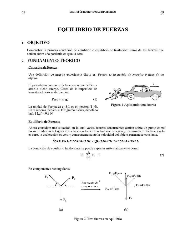 06 Equilibrio de Fuerza (Guia Laboratorio II) | PDF | Peso | Fuerza