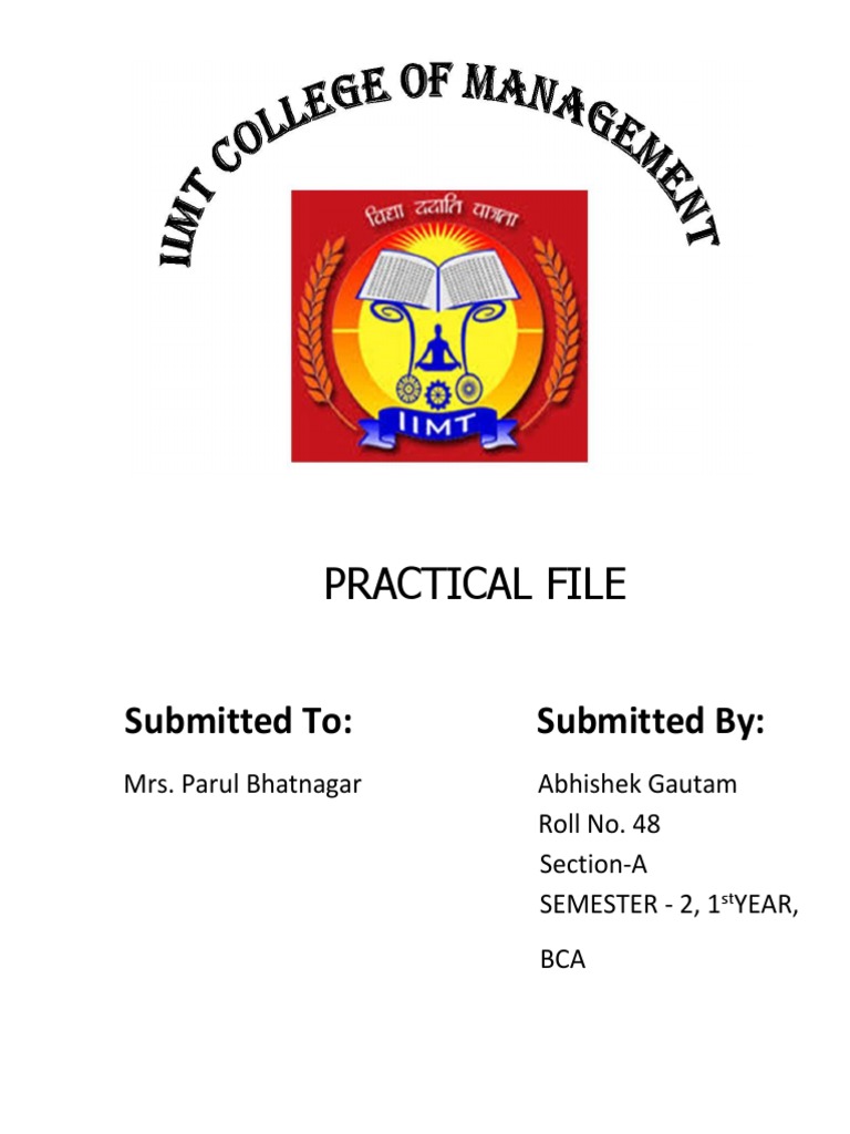 Practical File: Submitted To: Submitted by | PDF