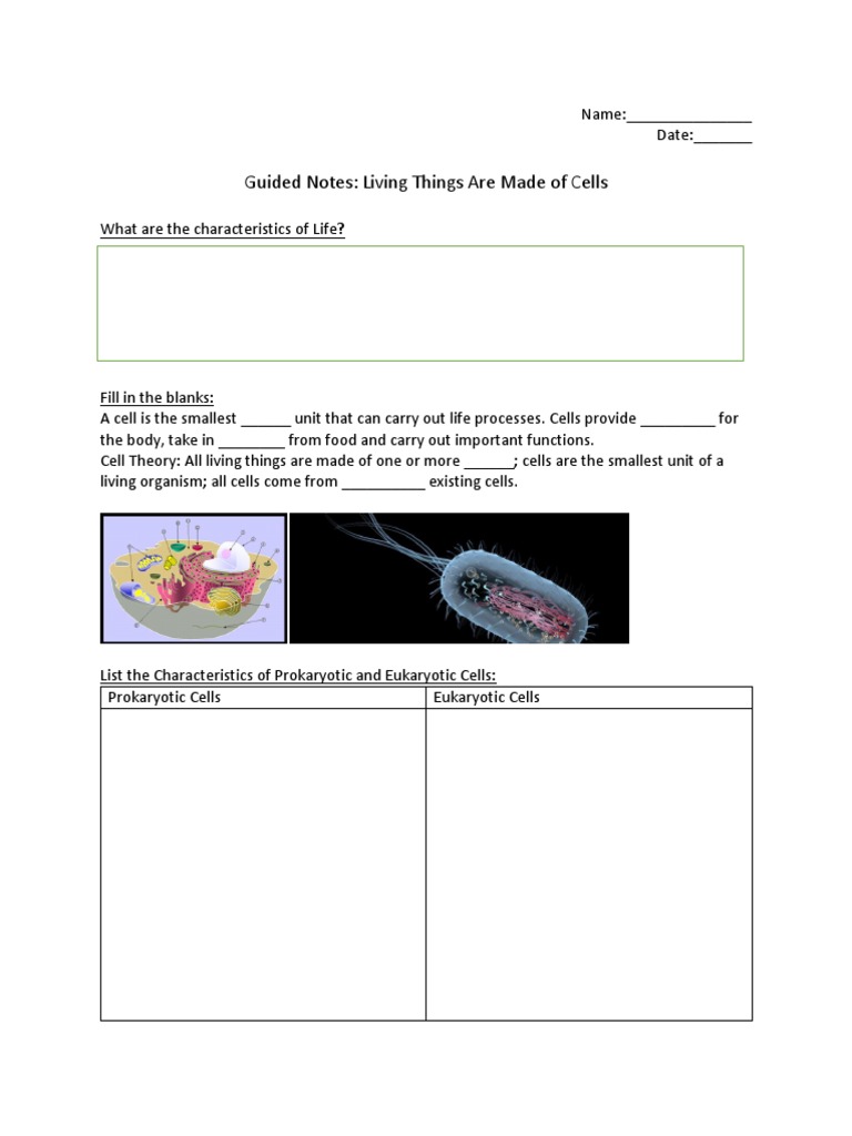 Guided Notes Living Things and Cells | PDF
