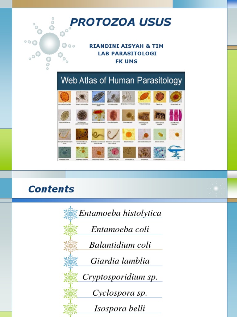 Protozoa Usus 2018 | PDF