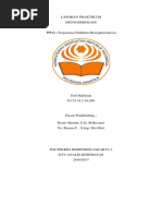 Laporan Praktikum Pemeriksaan TPHA | PDF