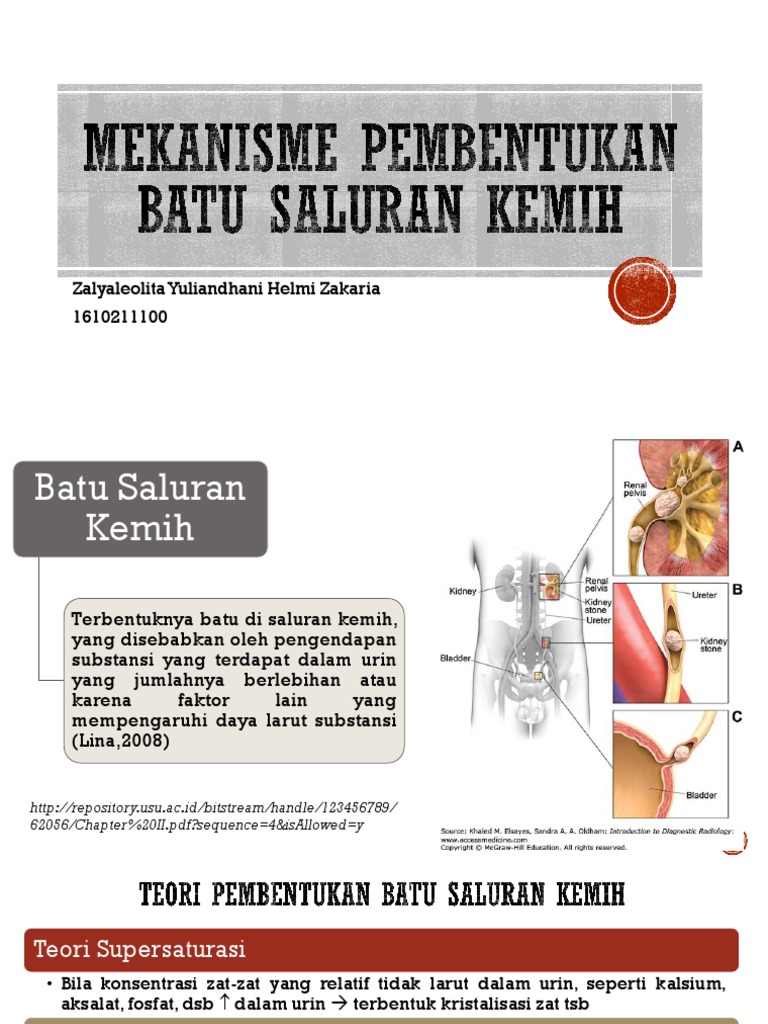 Mekanisme Pembentukan Batu Saluran Kemih | PDF