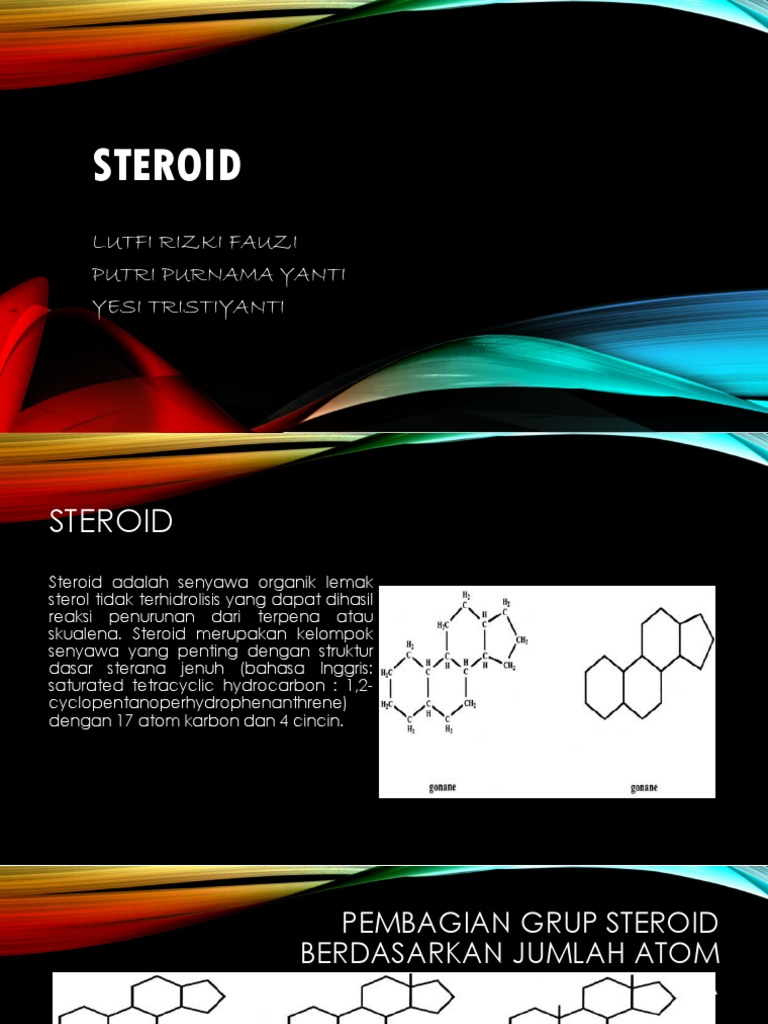 Panduan Lengkap Steroid | PDF