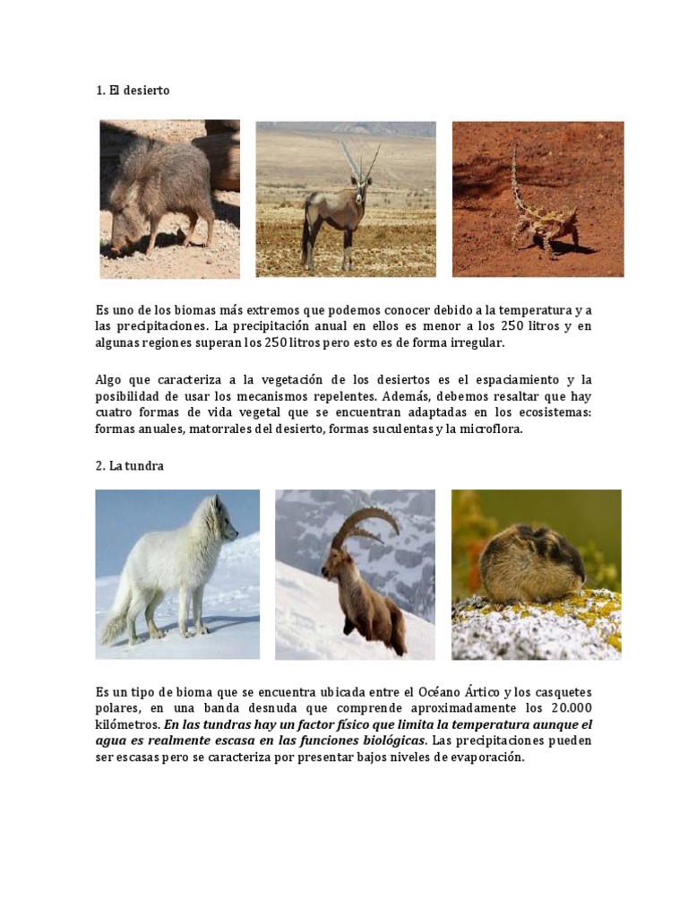 Tipos de Biomas y Sus Animales | Desierto | Ciencias de la tierra y de ...