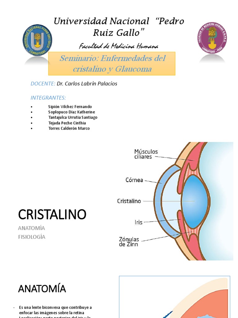 Enfermedades Del Cristalino y Glaucoma | Descargar gratis PDF | Glaucoma | Catarata
